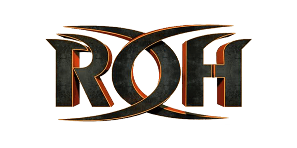 The History Of WWE